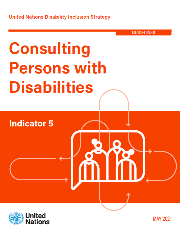 United Nations Disability Inclusion Strategy (2021) Consulting Persons ...