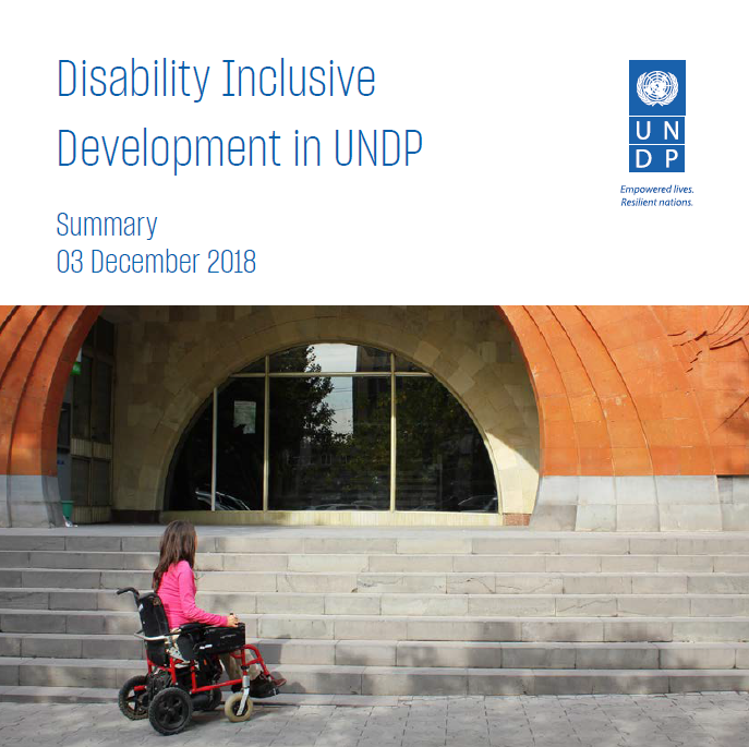 UNDP (2018) Disability Inclusive Development: Guidance and Entry Points ...